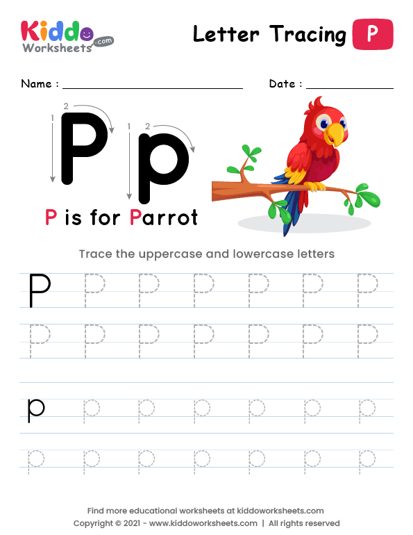 Letter Tracing Alphabet P - kiddoworksheets
