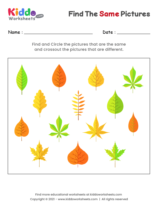 Leaves Worksheet