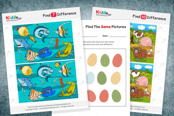 Spark Your Child’s Brilliance: Find the Same, Find the Difference and ...