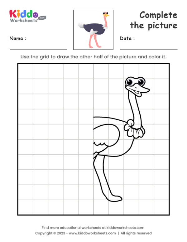 Free Printable Complete the picture Ostrich Worksheet - kiddoworksheets