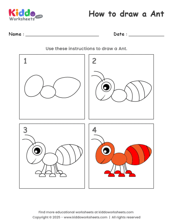 Free Printable How to Draw Ant Worksheet - kiddoworksheets